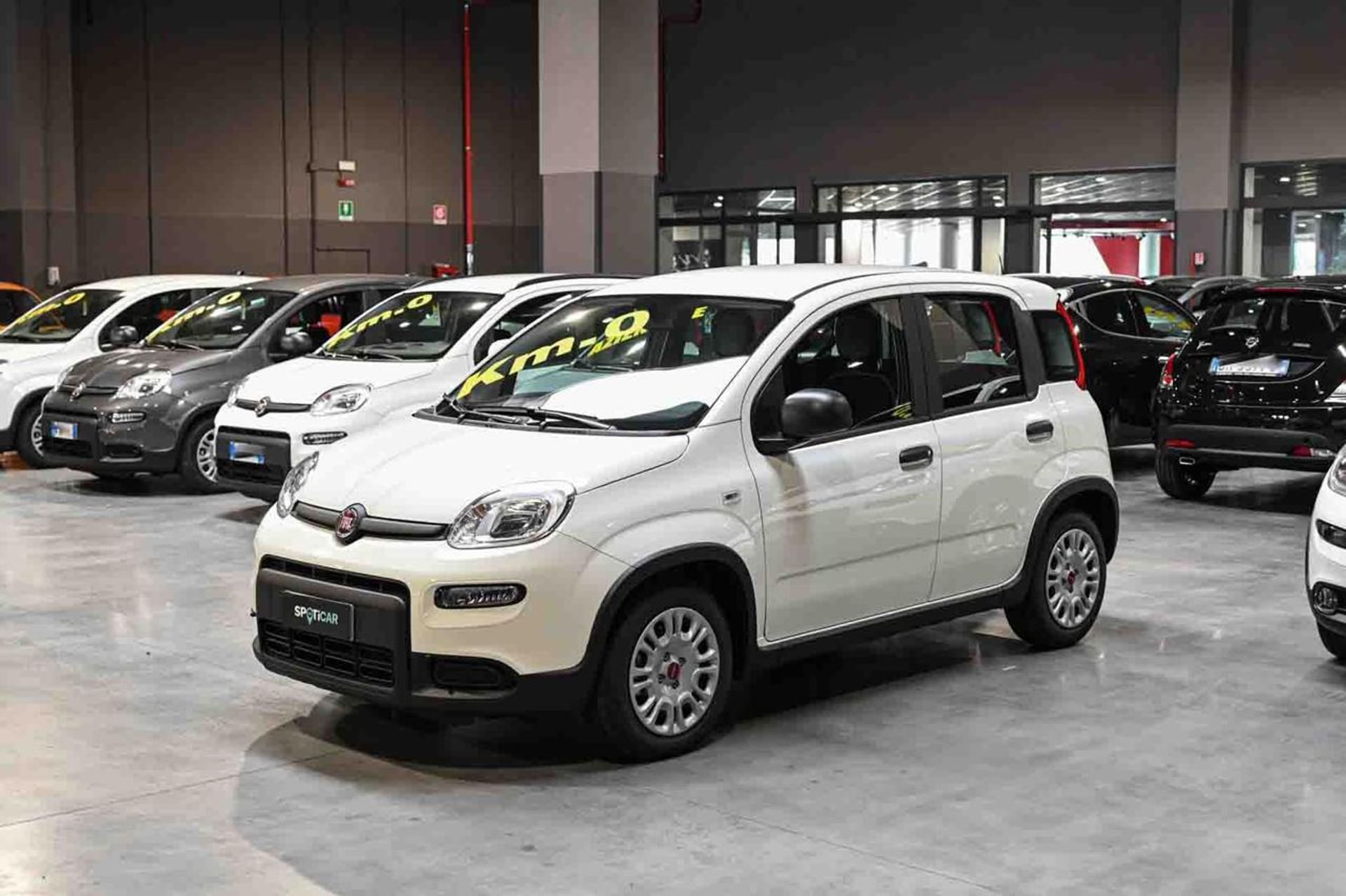 Fiat Panda Hybrid 1.0 70cv Nuova Ibrida con 0 km a Pianezza (TO ...