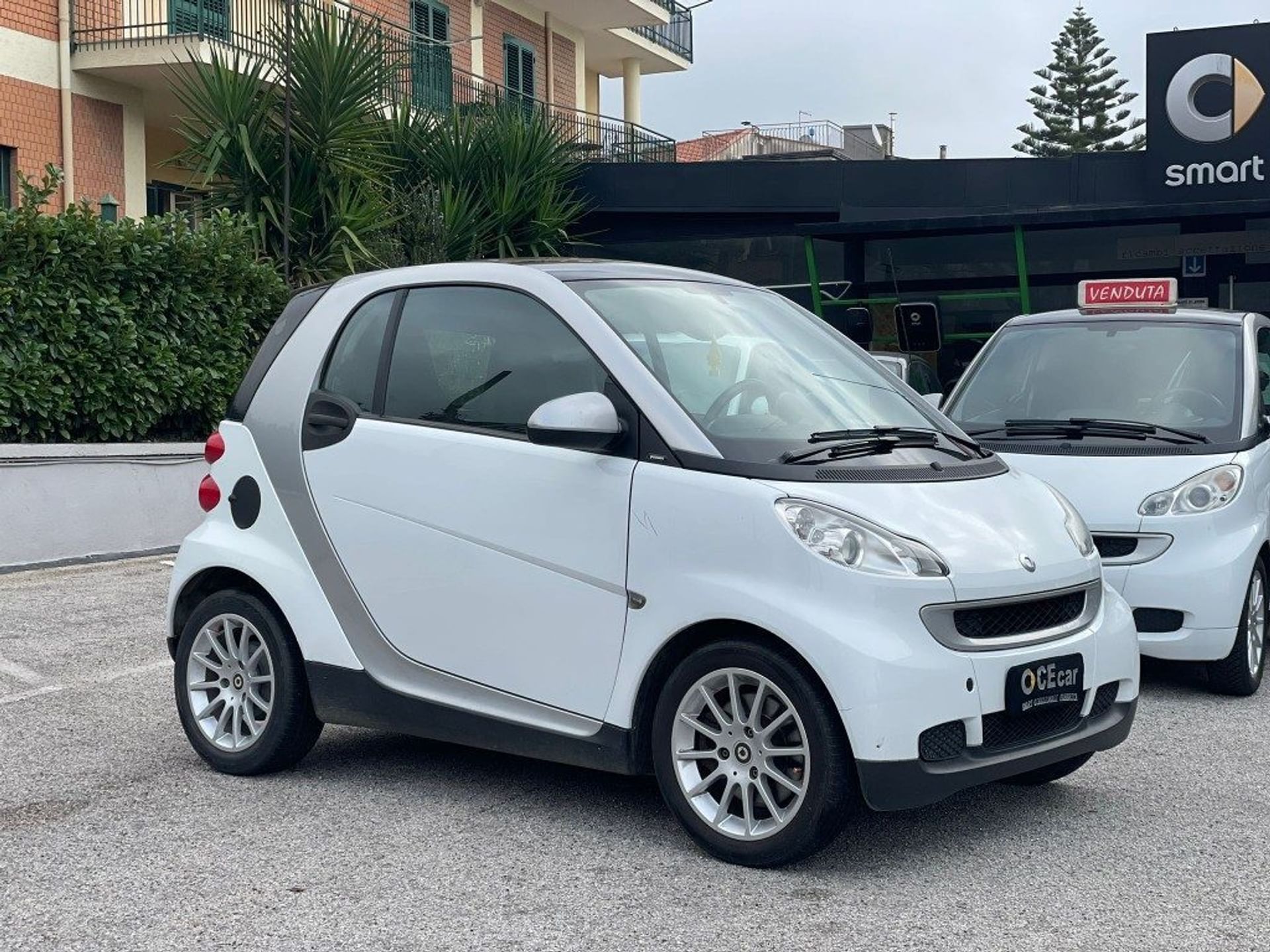 Smart ForTwo 800 CDI PASSION NEOPATENTATI Nuova Diesel con 0 km a ...