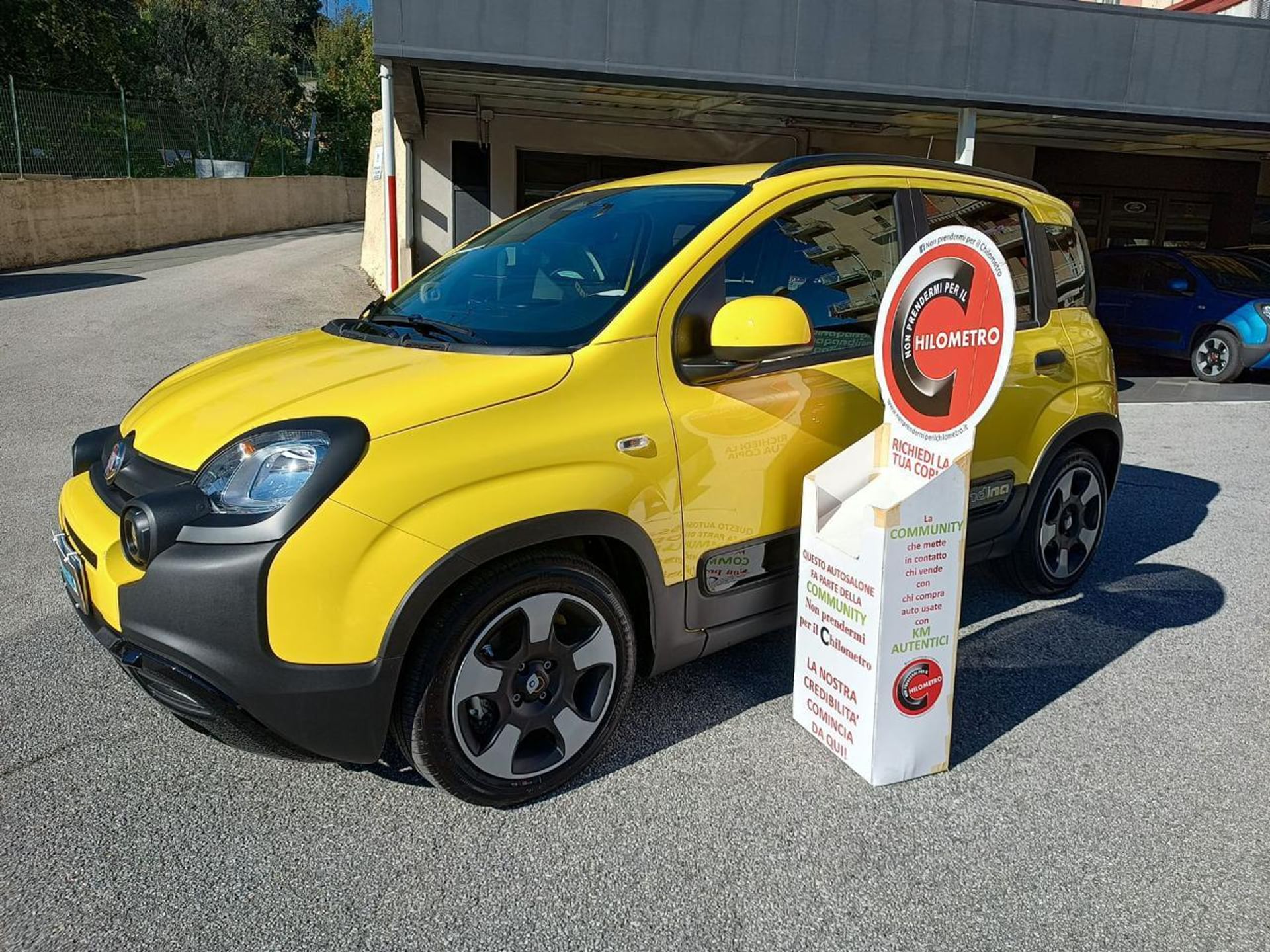 Fiat Panda 1.0 Hybrid Pandina NUOVA INCENTIVI EURO 0-1-2-3-4 Nuova ...