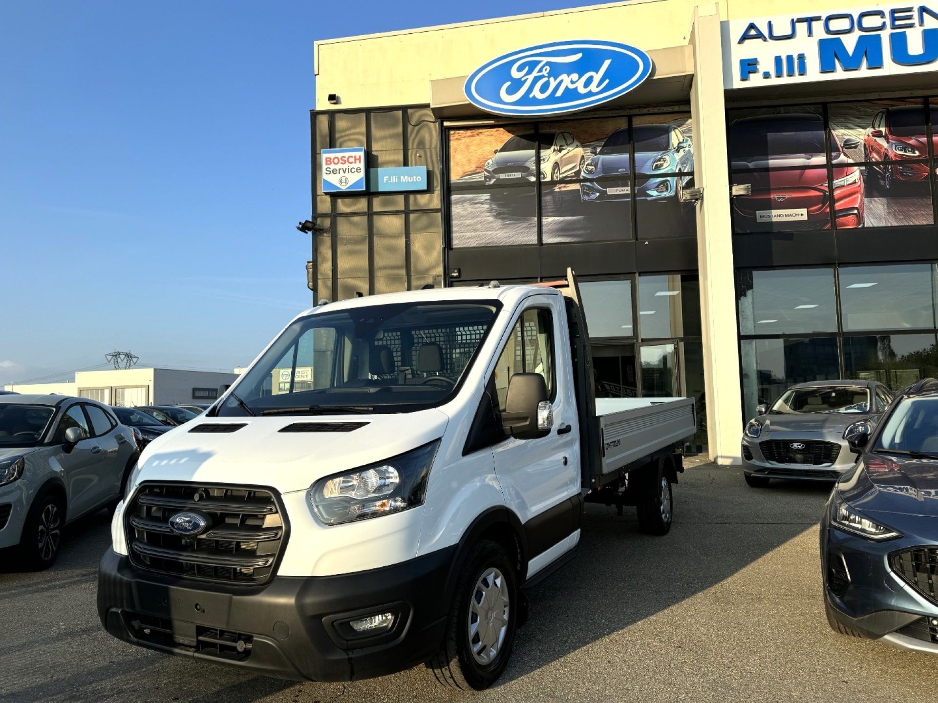 Ford Transit 350 2.0 EcoBl.130CV PL Cassonato Trend Scattolini Nuova ...