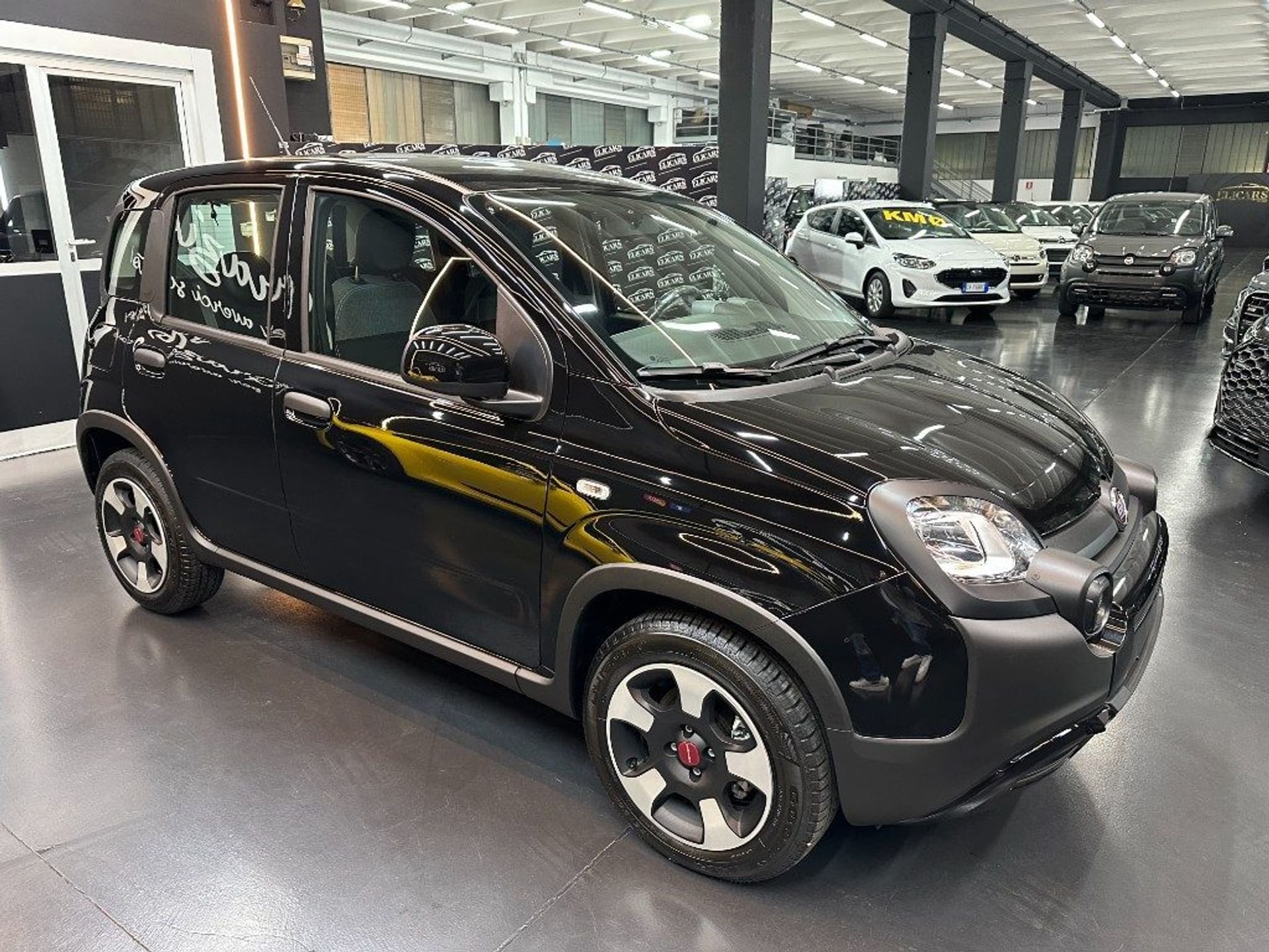 Fiat Panda 1.0 FireFly S&S Hybrid City Cross Nuova Ibrida Benzina con 8 ...