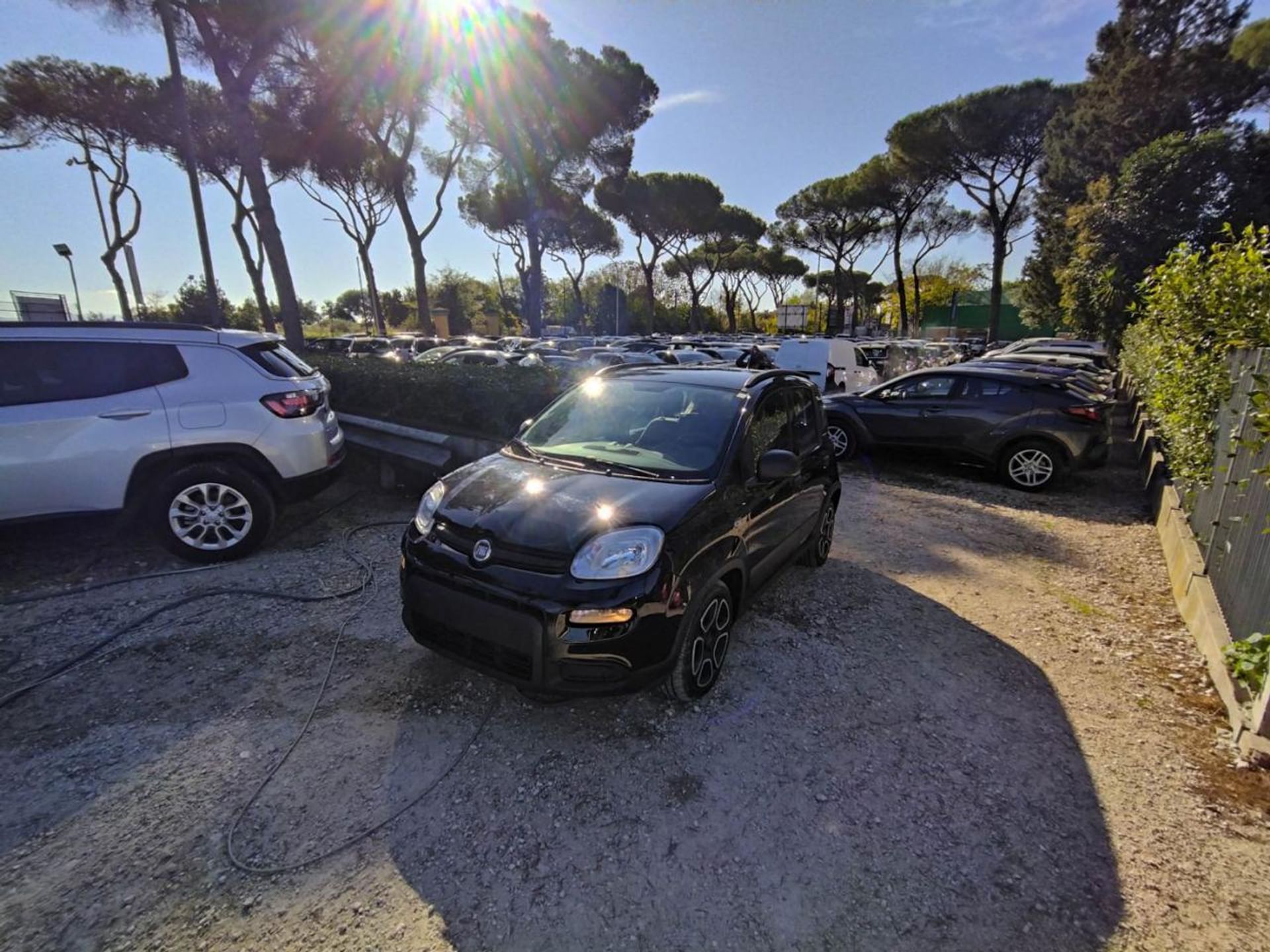 Fiat Panda 1.0 HYBRID GSE CITYLIFE 70cv Usata Ibrida con 26.676 km a ...