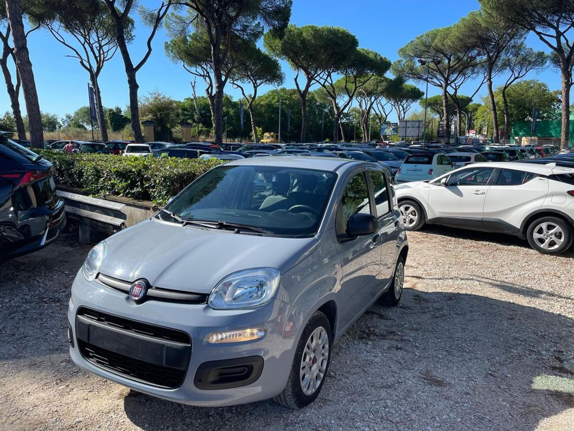 Fiat Panda 1.0cc HYBRID 70cv GSE Usata Ibrida con 49.122 km a Roma (RM ...