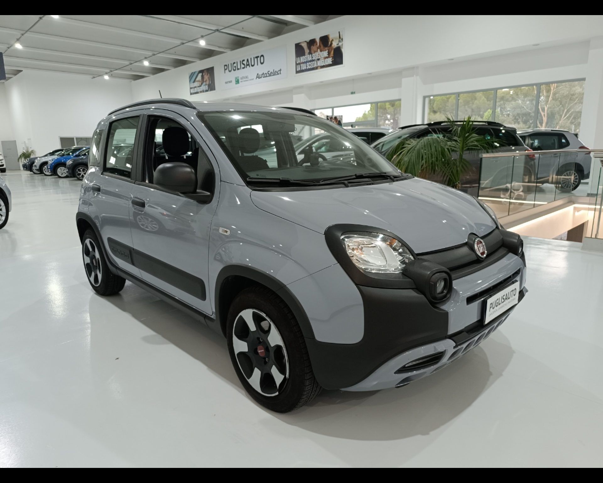 Fiat Panda 1.0 FireFly S&S Hybrid Usata Ibrida con 9.588 km a Belpasso ...
