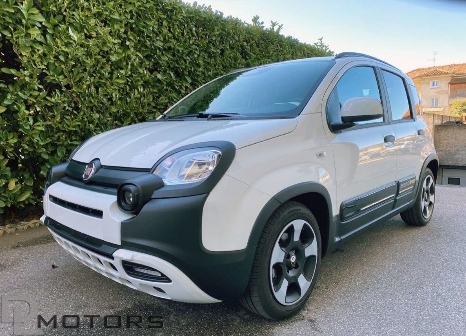 Fiat Panda PANDINA KM 0 1.0 HYBRID, VARI COLORI, NAZIONALE Nuova Ibrida ...