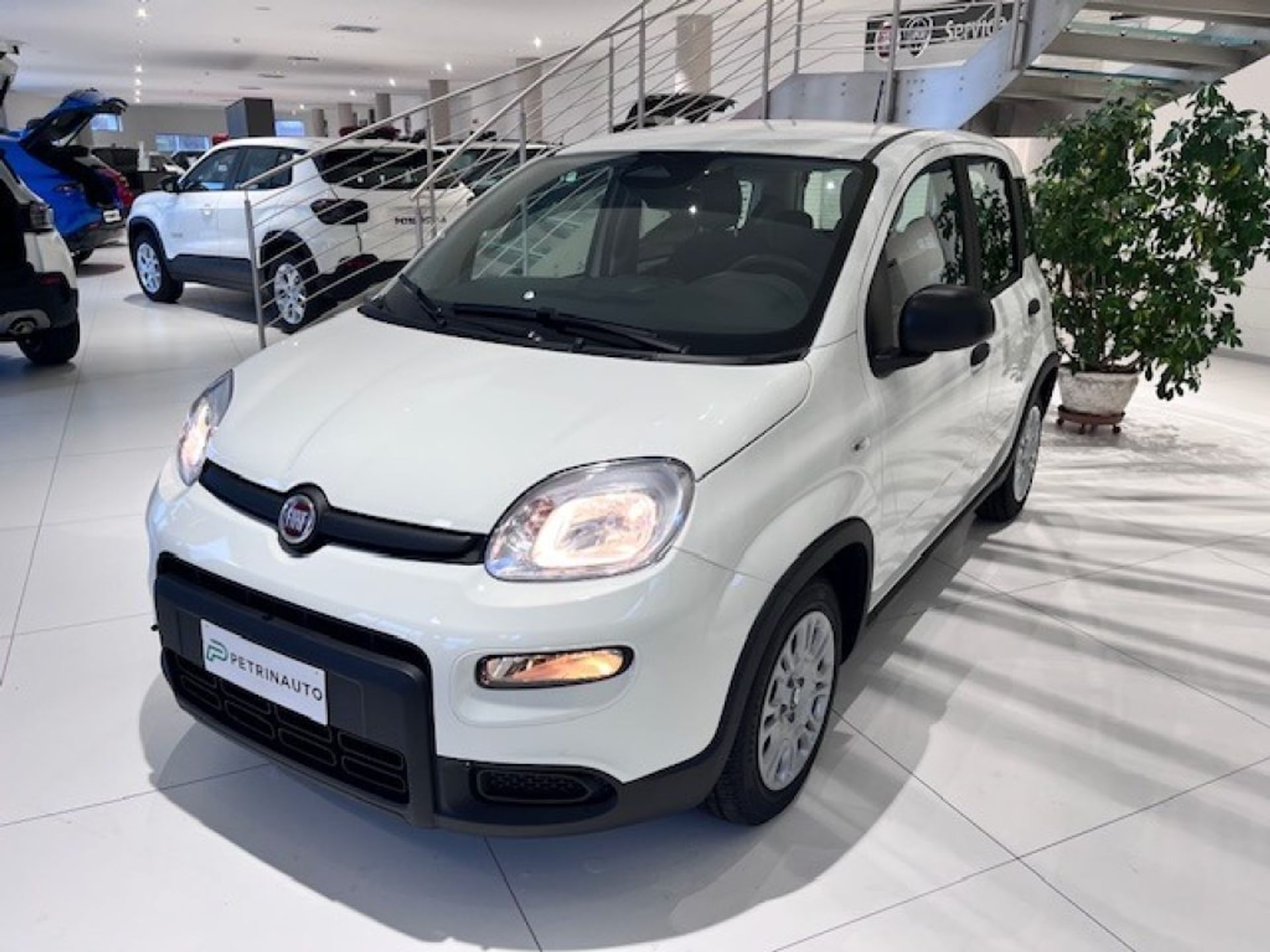 Fiat Panda 1.0 FireFly S&S Hybrid Pack City+Kit 5p Km.0 Nuova Ibrida ...