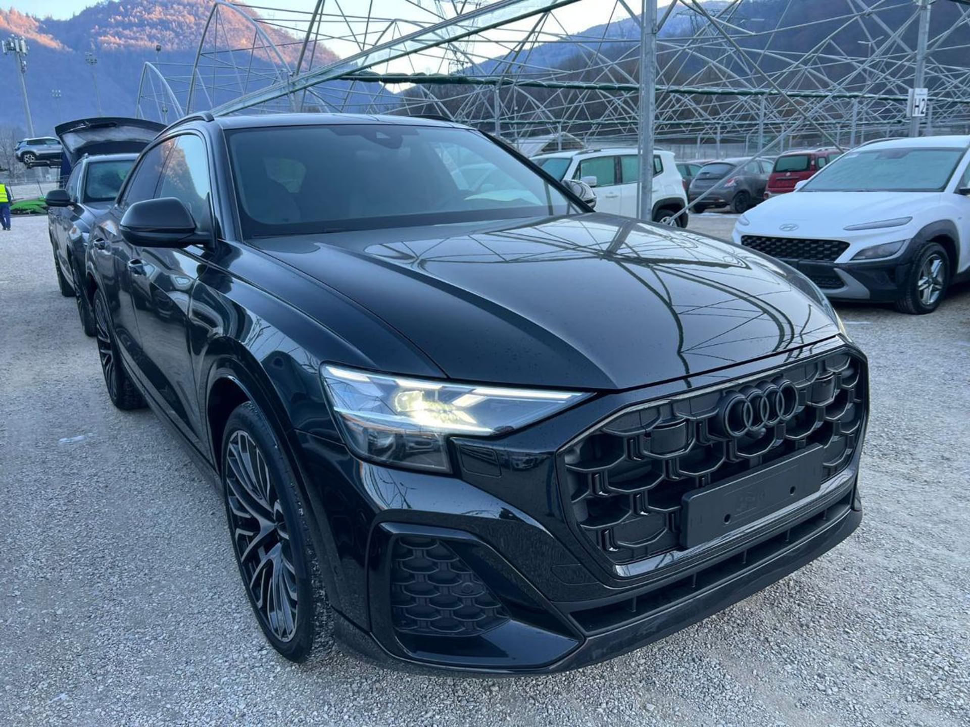 Audi Q8 SUV 50 TDI 286 CV quattro tiptronic S line edition Nuova Ibrida ...