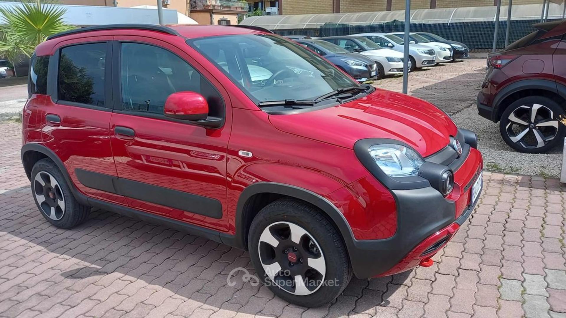 Fiat Panda 1.0 Hybrid CROSS Usata Ibrida con 14.000 km a Roma (RM ...