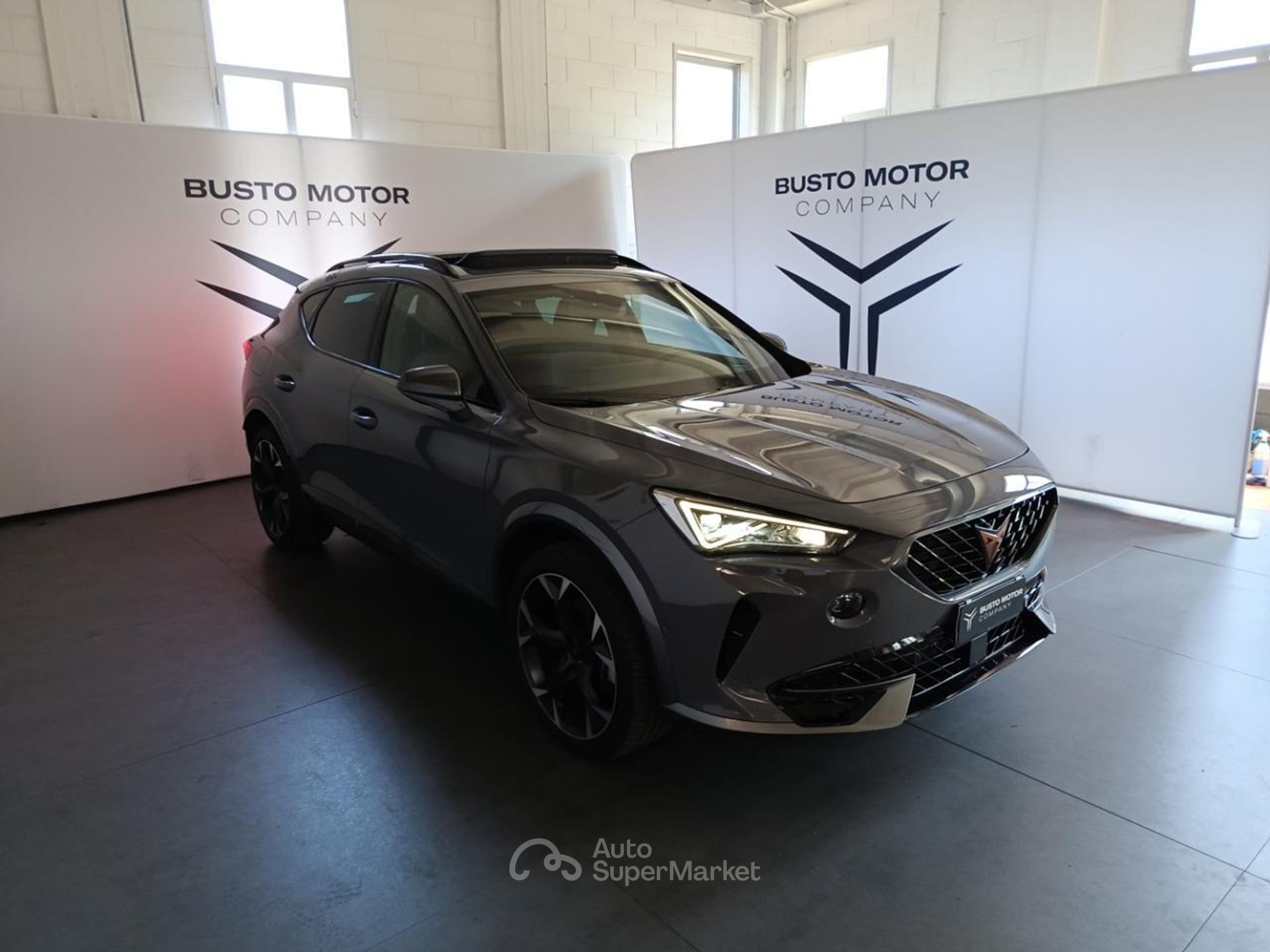 Cupra Formentor 2.0 TSI 4x4 DSG Usata Benzina con 46.883 km a Olgiate ...