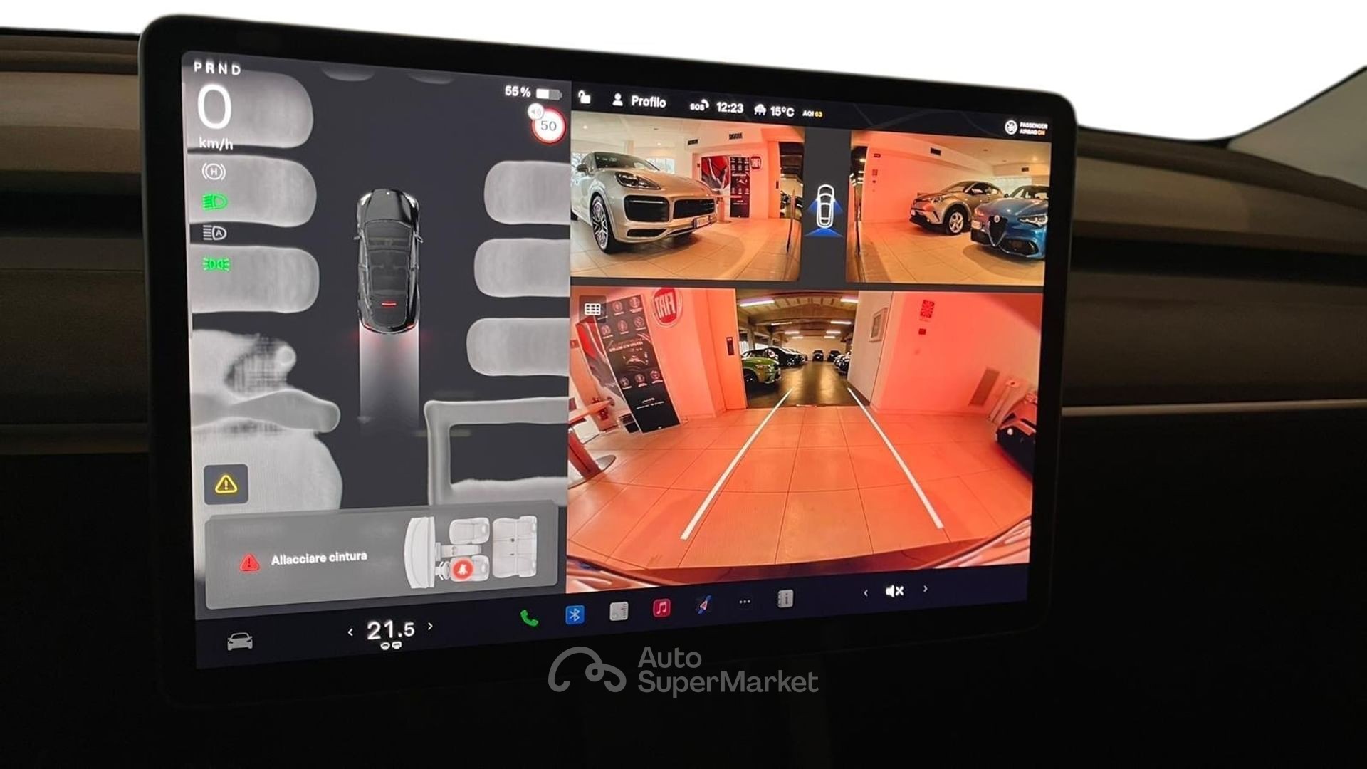 Tesla Model Y Model Y Performance AWD Usata Elettrica con 25.000 km a ...