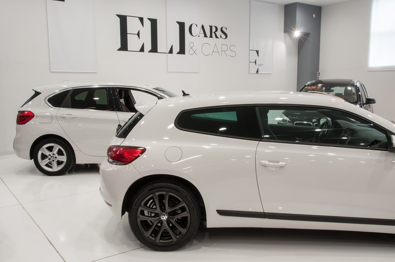 ELICARS & CARS SRL Torino, TO - Autosupermarket